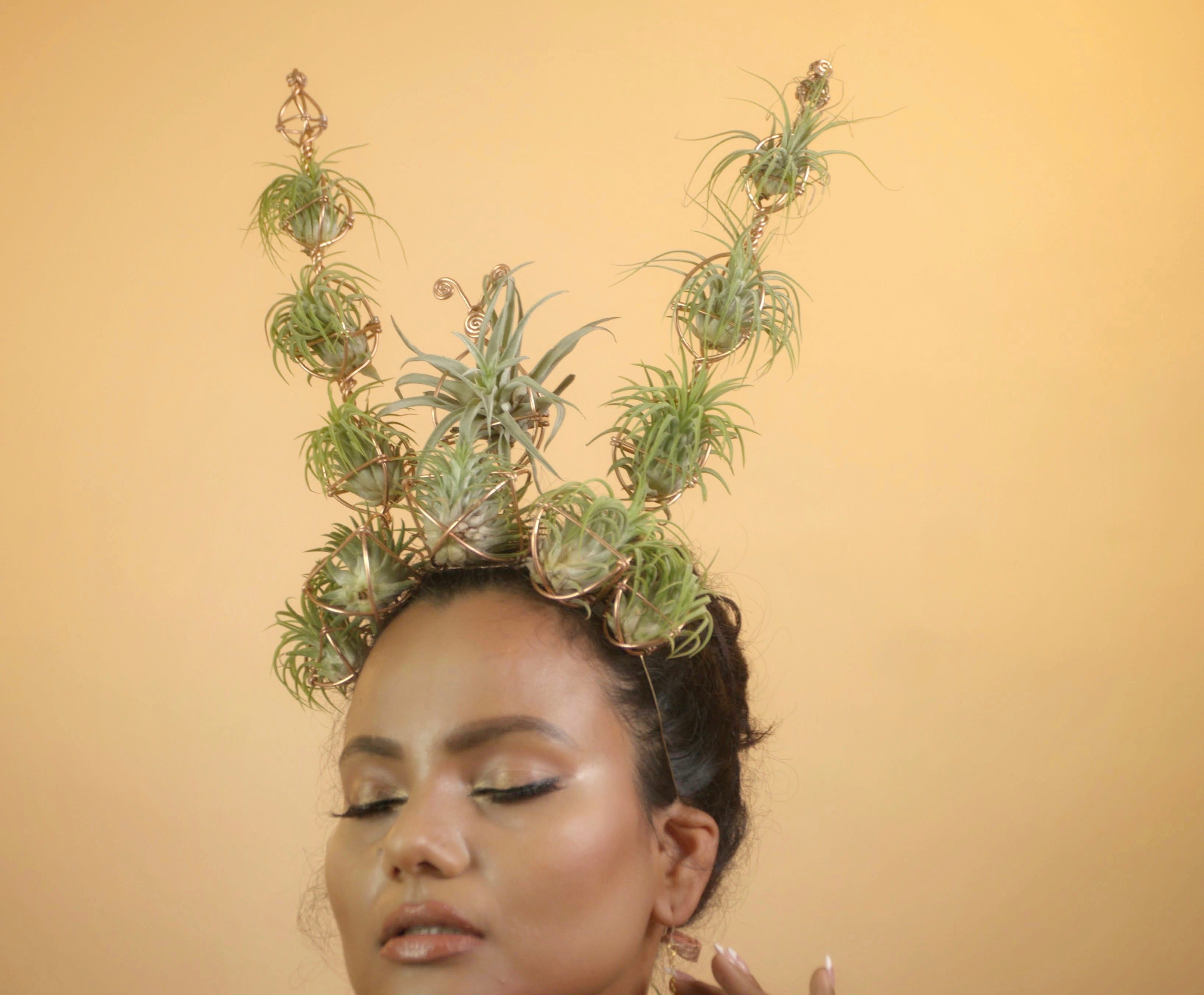 Air Plant Crowns – AirPlantNina Symbiotic Living Jewelry